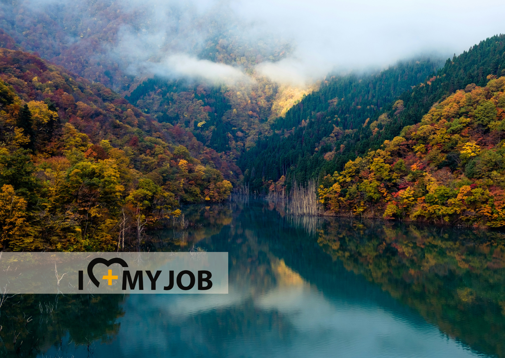 Jobba med feedback genom att använda feedbacktrappan